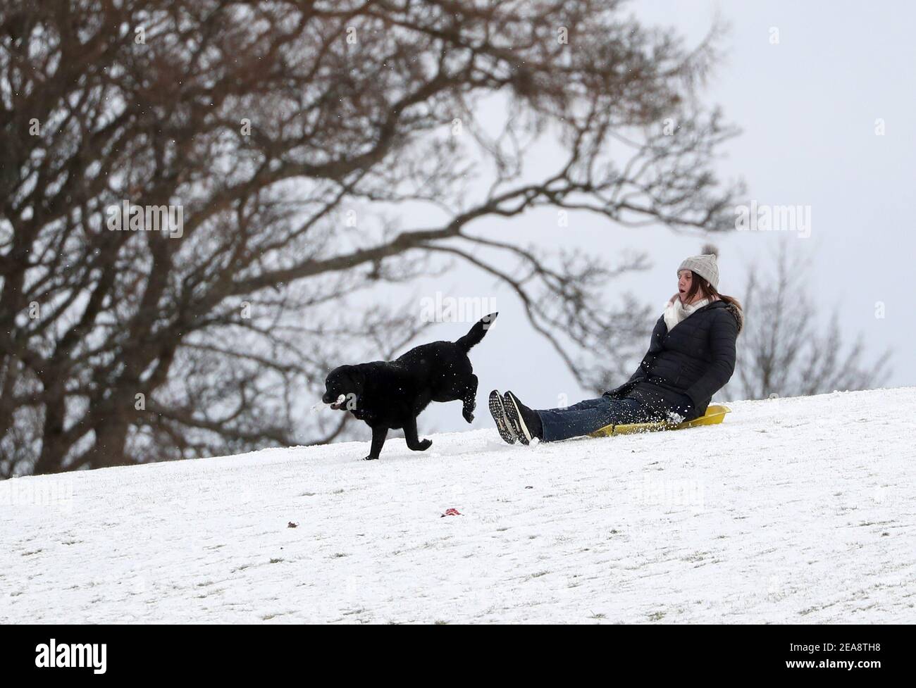 A person sledging in a snow covered Callender Park in Falkirk. Picture ...
