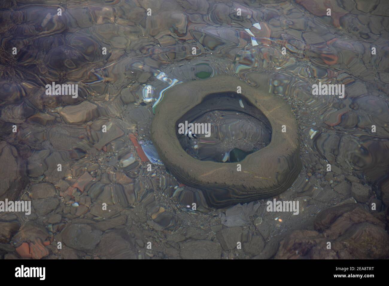 polluted water of red sea, Jeddah, Saudi Arabia, 2019 Stock Photo - Alamy