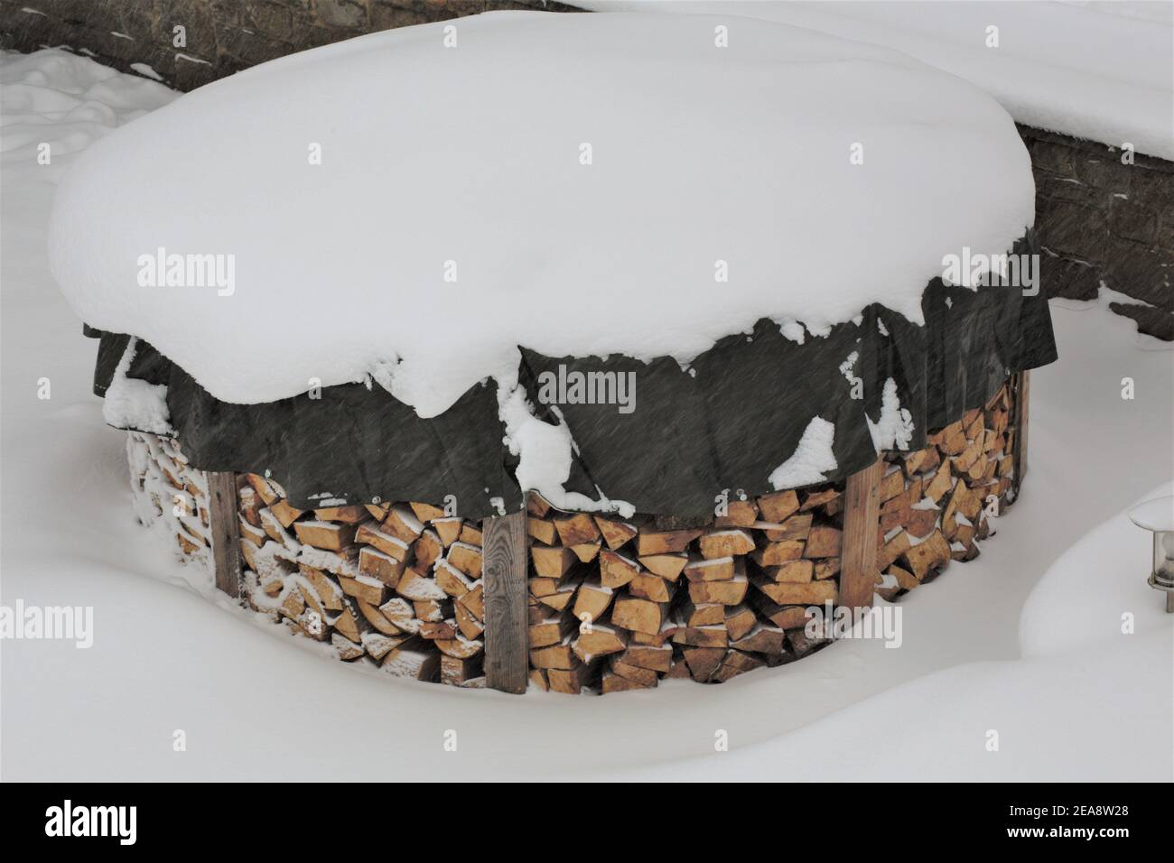 snow covered tree Stock Photo - Alamy