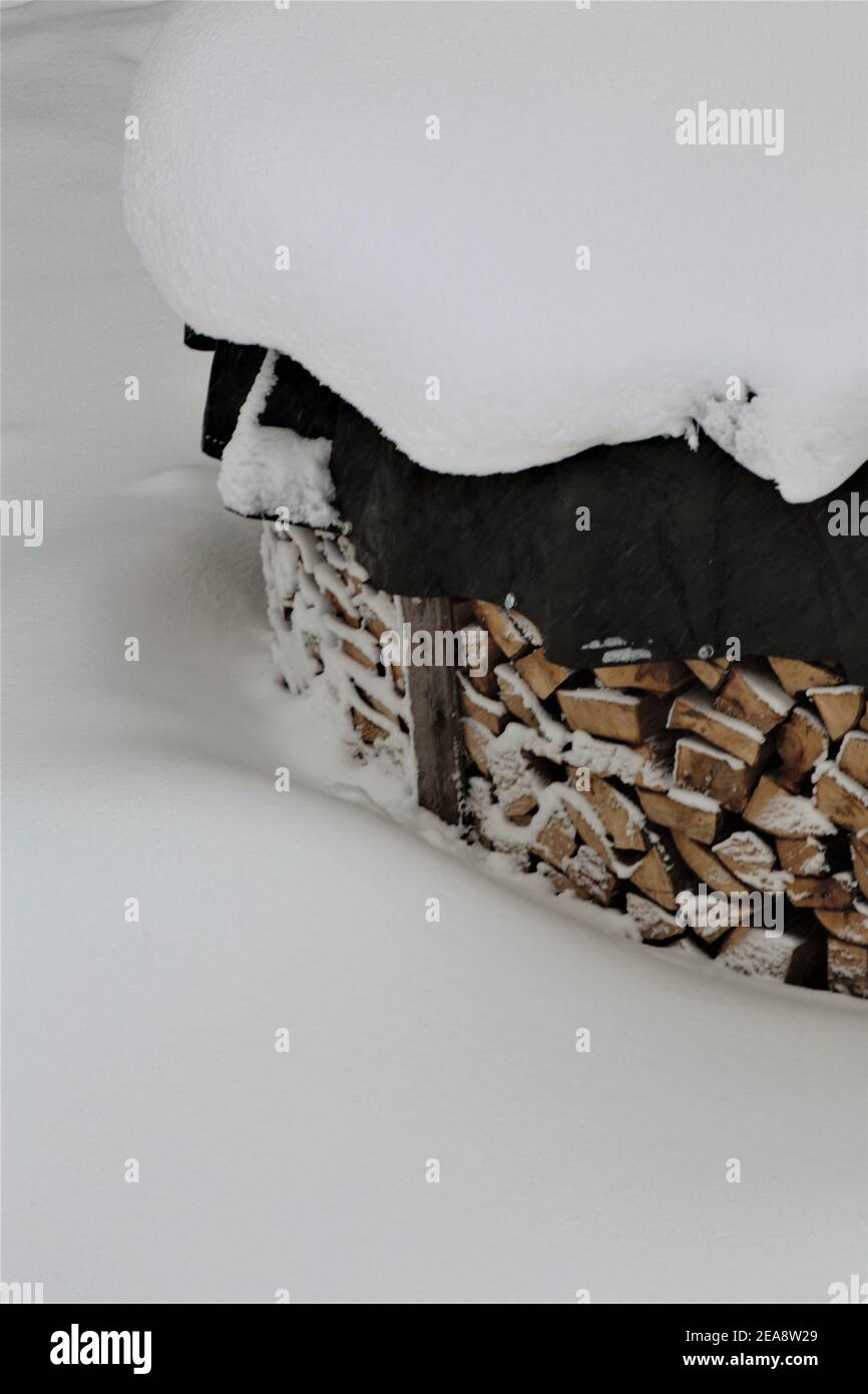 snow covered tree Stock Photo - Alamy