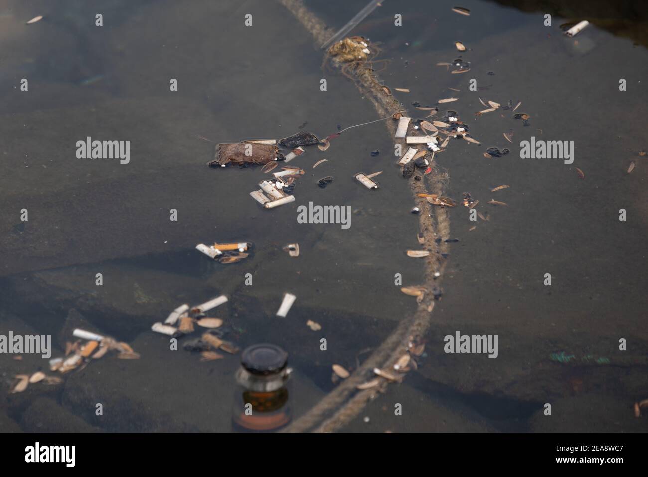 Cigarette buds thrown in water Stock Photo - Alamy