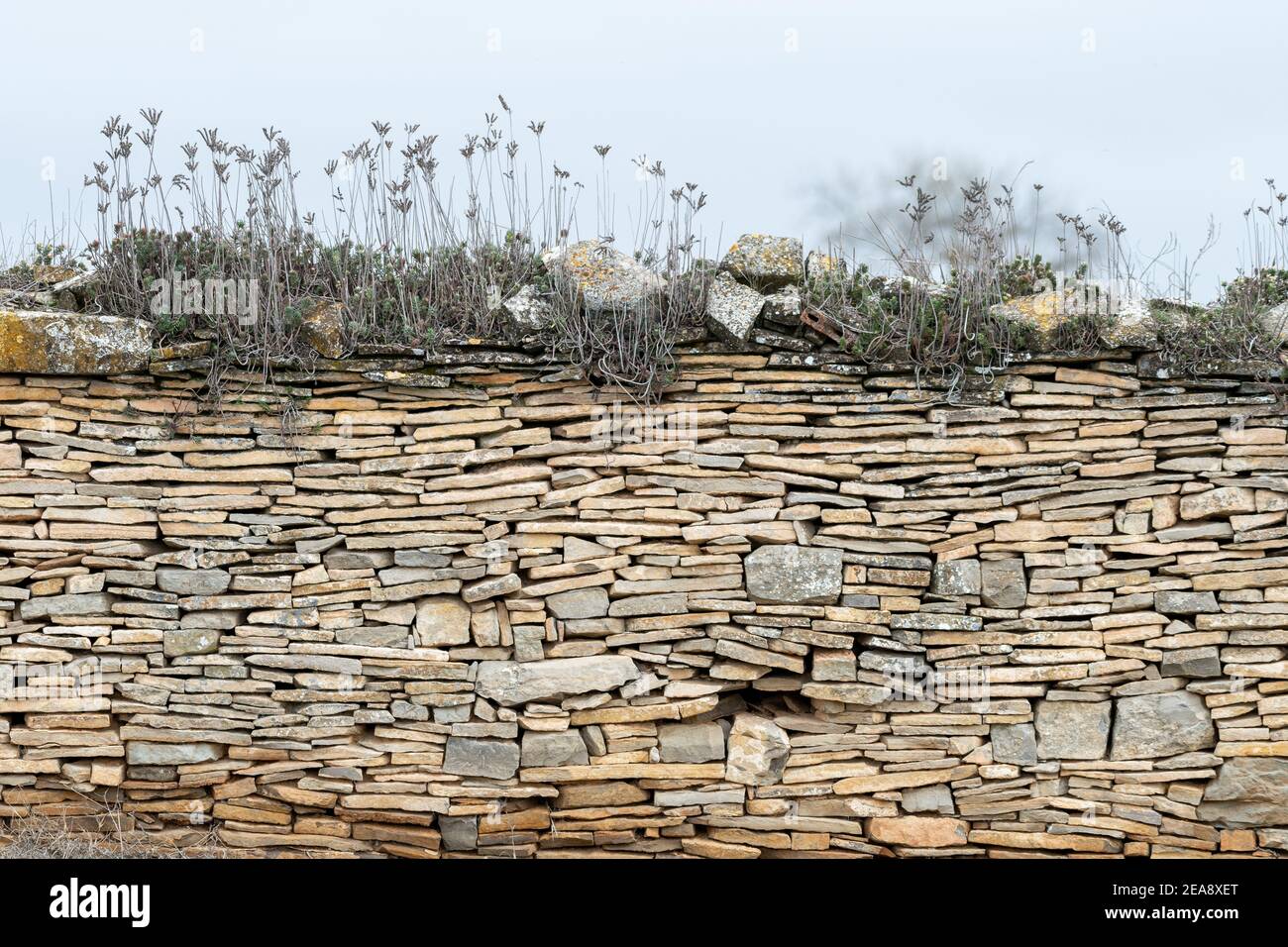 image of stone wall in rural environment Stock Photo - Alamy