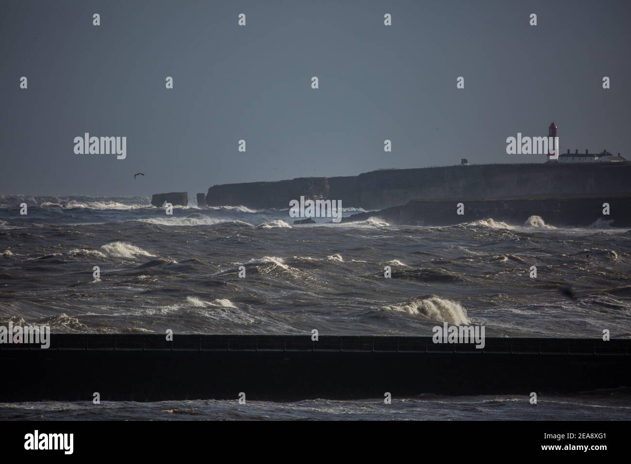 2021 north shields england hi-res stock photography and images - Alamy