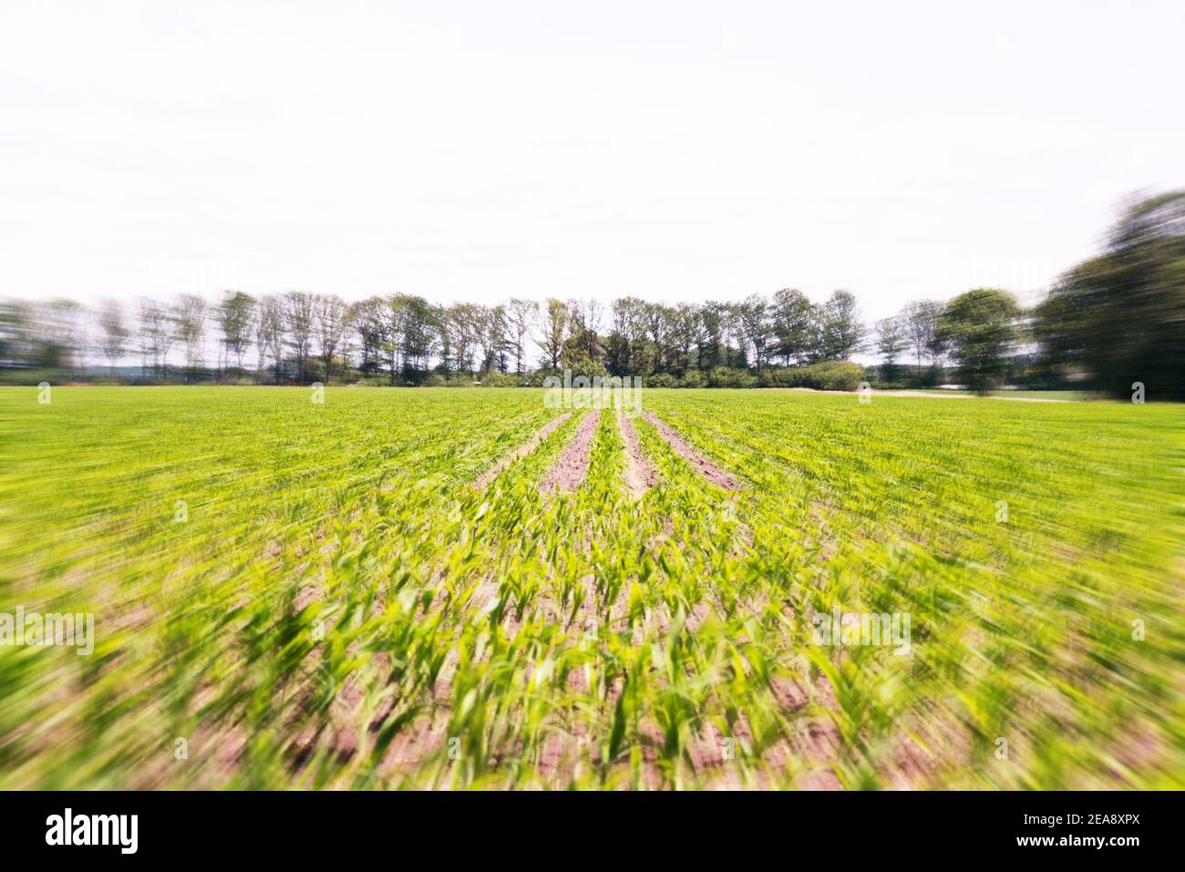 Agronomy production hi-res stock photography and images - Alamy