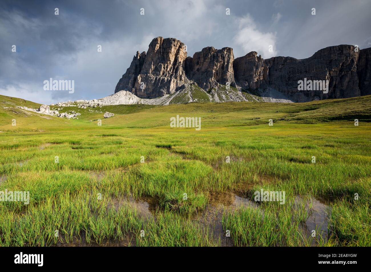 Alpine peat bog/wetlands on the Mondeval plateau. Mountain walls of ...