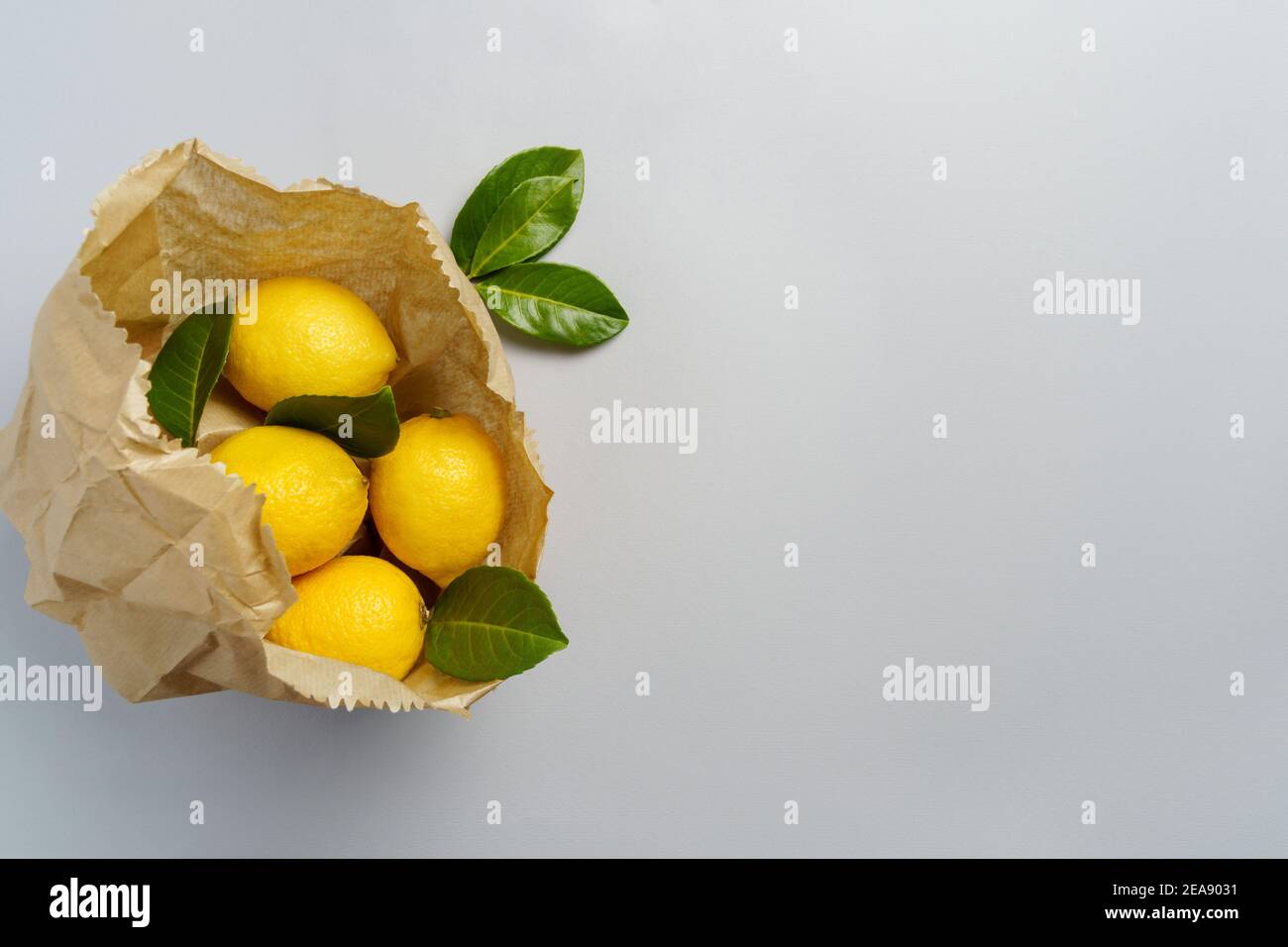 Lemons in craft paper with leaves on texture grey background with cope ...