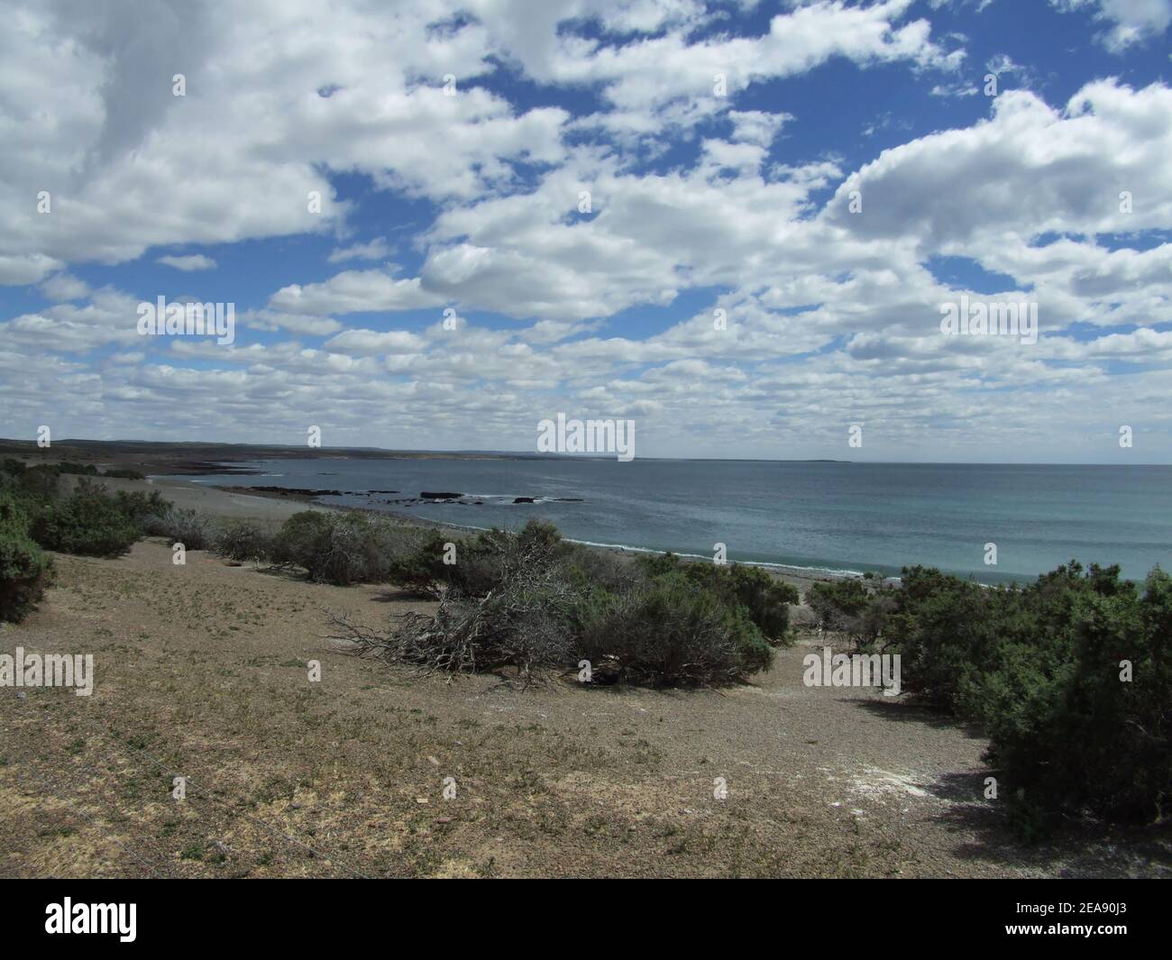 Landscape of the Valdes peninsula, Argentina Stock Photo - Alamy
