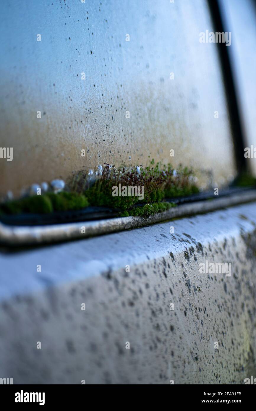 Vintage car cyprus hi-res stock photography and images - Alamy