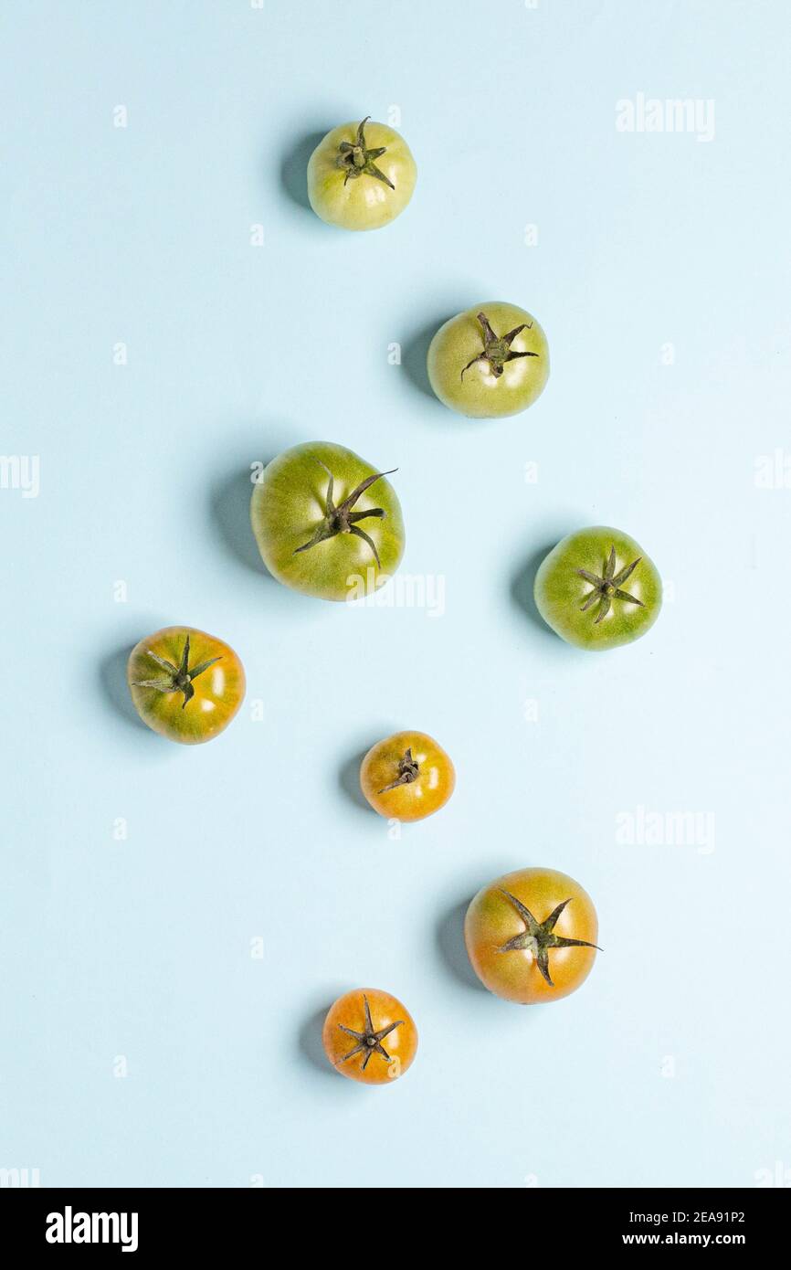 Half ripe tomatoes growing hi-res stock photography and images - Alamy