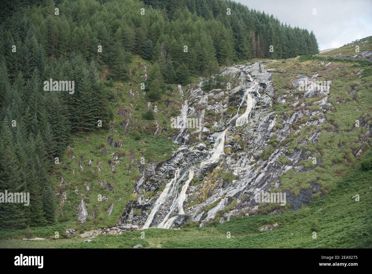 Sallys High Resolution Stock Photography and Images - Alamy