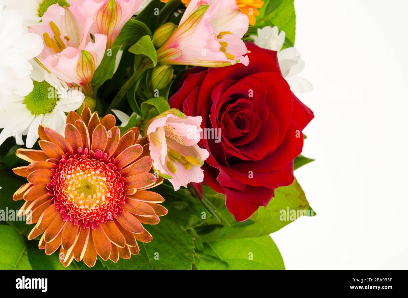Part of flower bouquet, composition on light background. Studio Photo ...