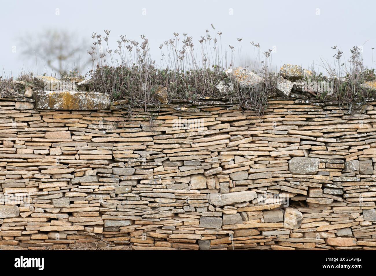 image of stone wall in rural environment Stock Photo - Alamy