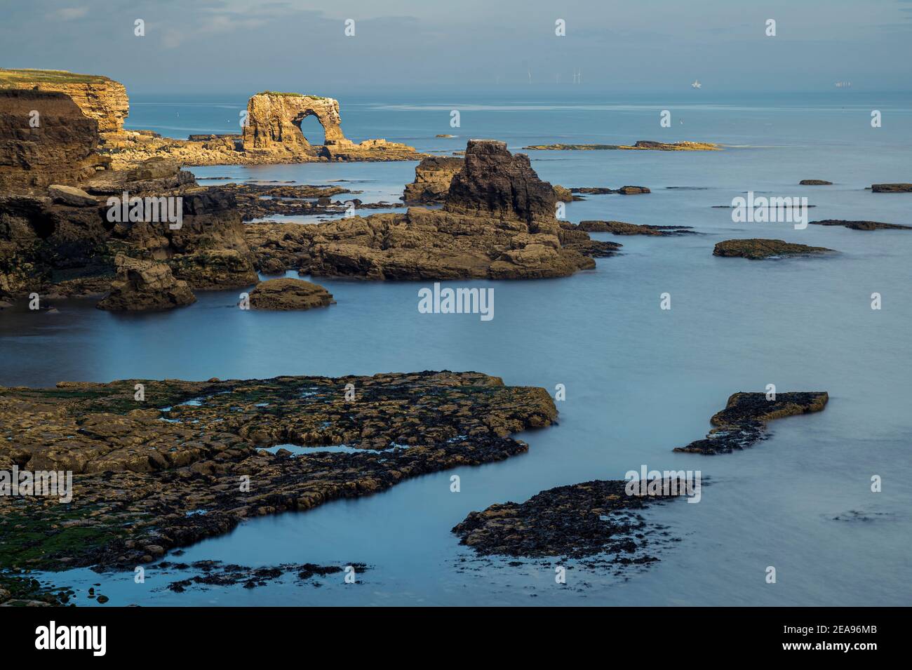 The magnesian limestone cliffs of Marsden Bay, lit by early morning ...