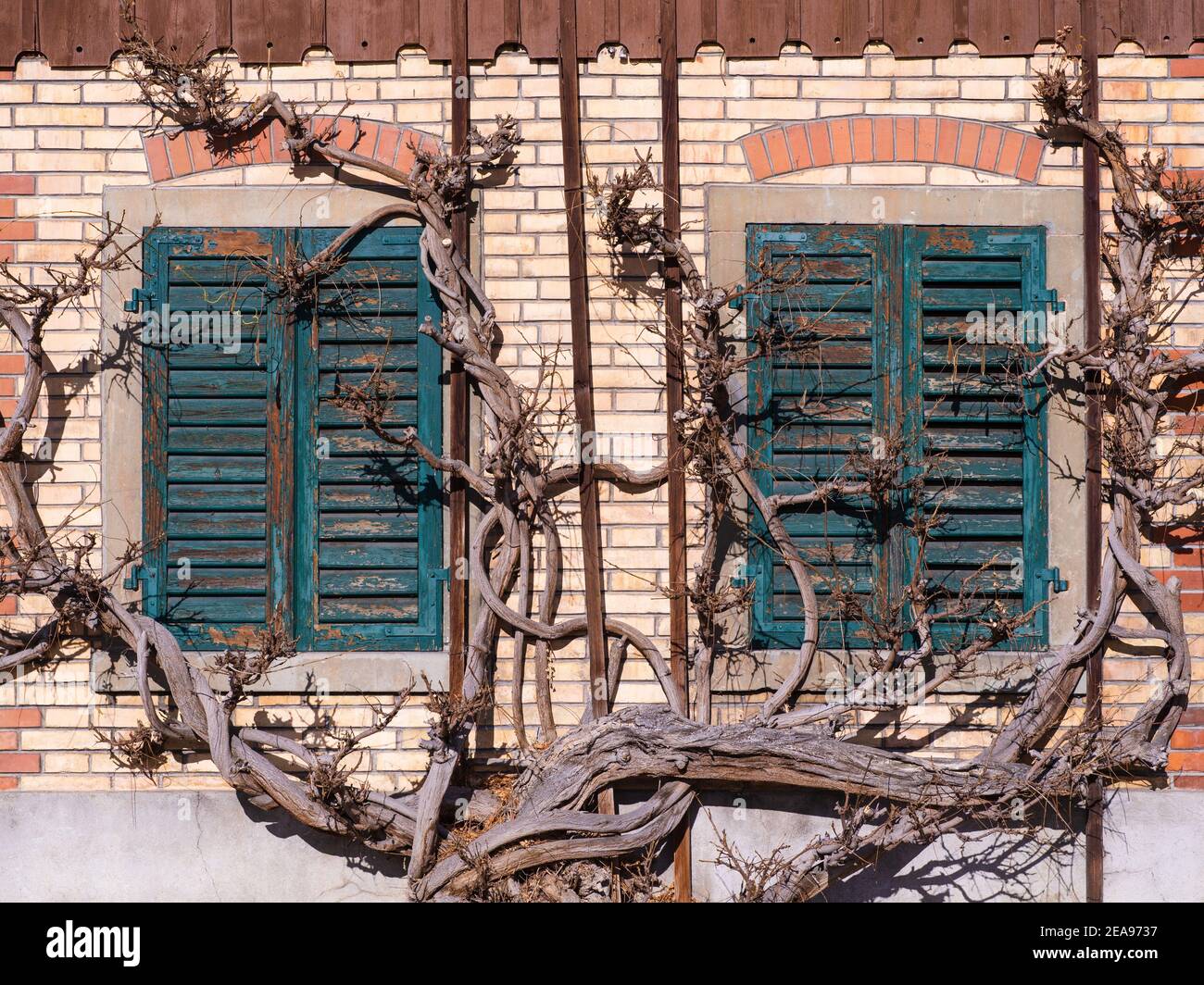 Facade detail brick house Stock Photo - Alamy