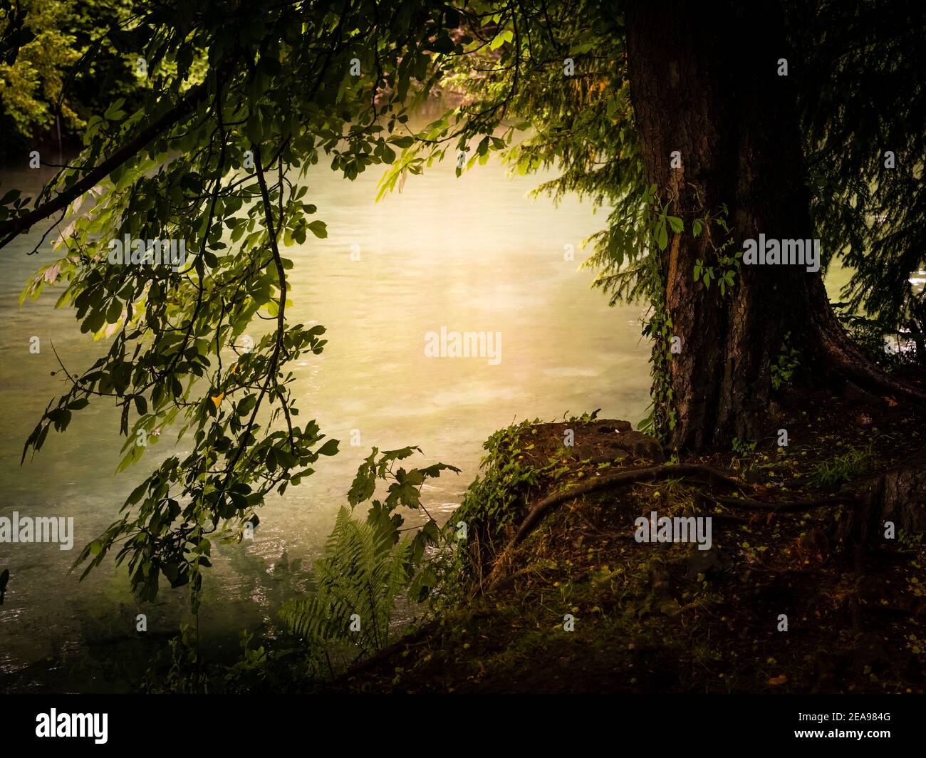 Magical Place Wallpaper