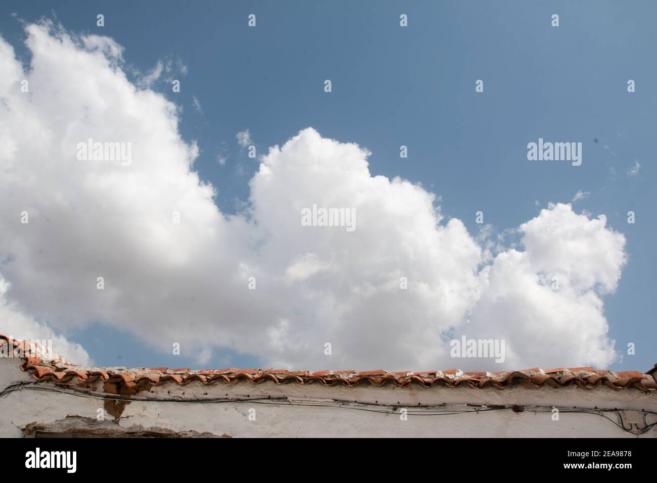 Wild nature in the fields of the Cordoba mountains in Andalusia Stock ...