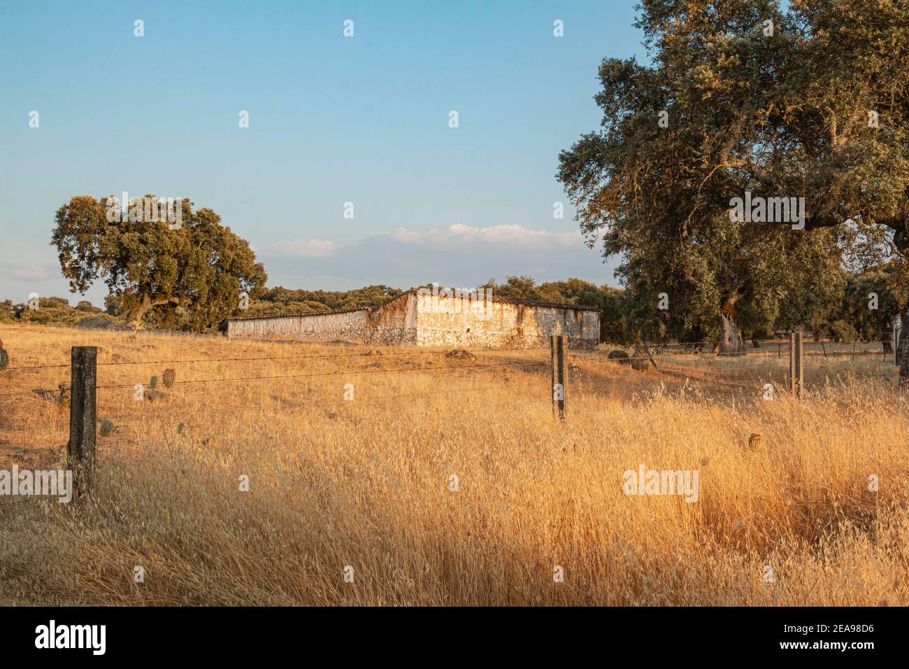 Andalusia farmer hi-res stock photography and images - Alamy