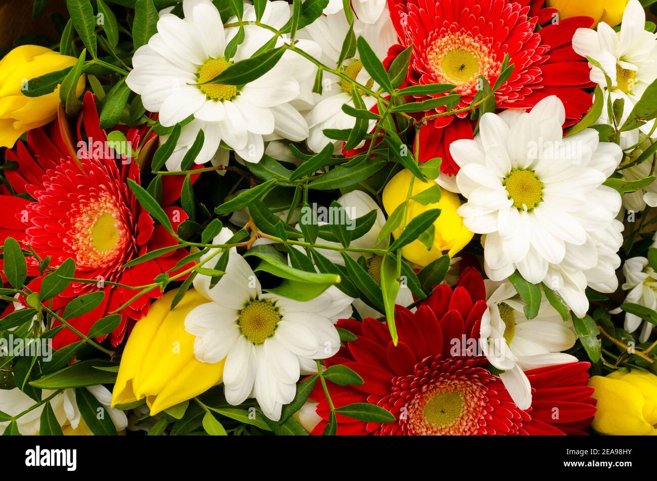Part of flower bouquet, composition on light background. Studio Photo ...