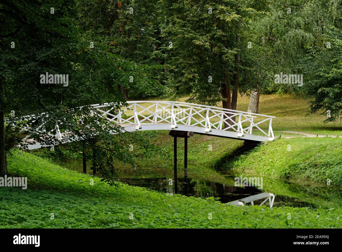 Wooden footbridge over a garden pond hi-res stock photography and ...