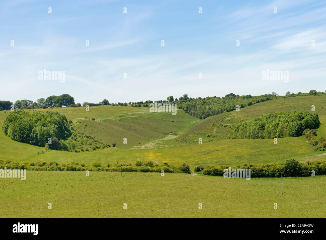 Chalk grassland valley with remnant of medieval strip lynchets terraced ...