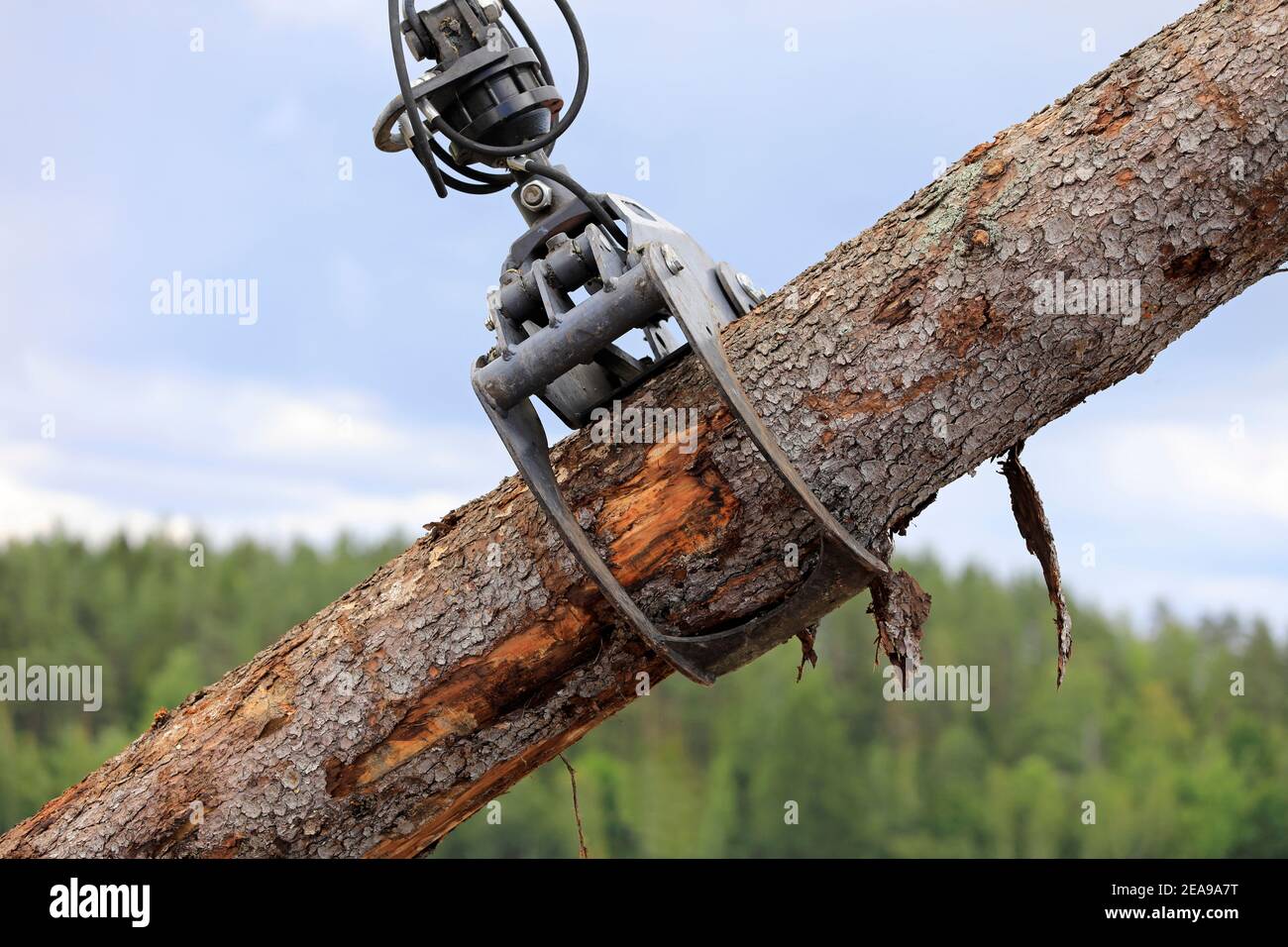 Hydraulic log loader hi-res stock photography and images - Alamy
