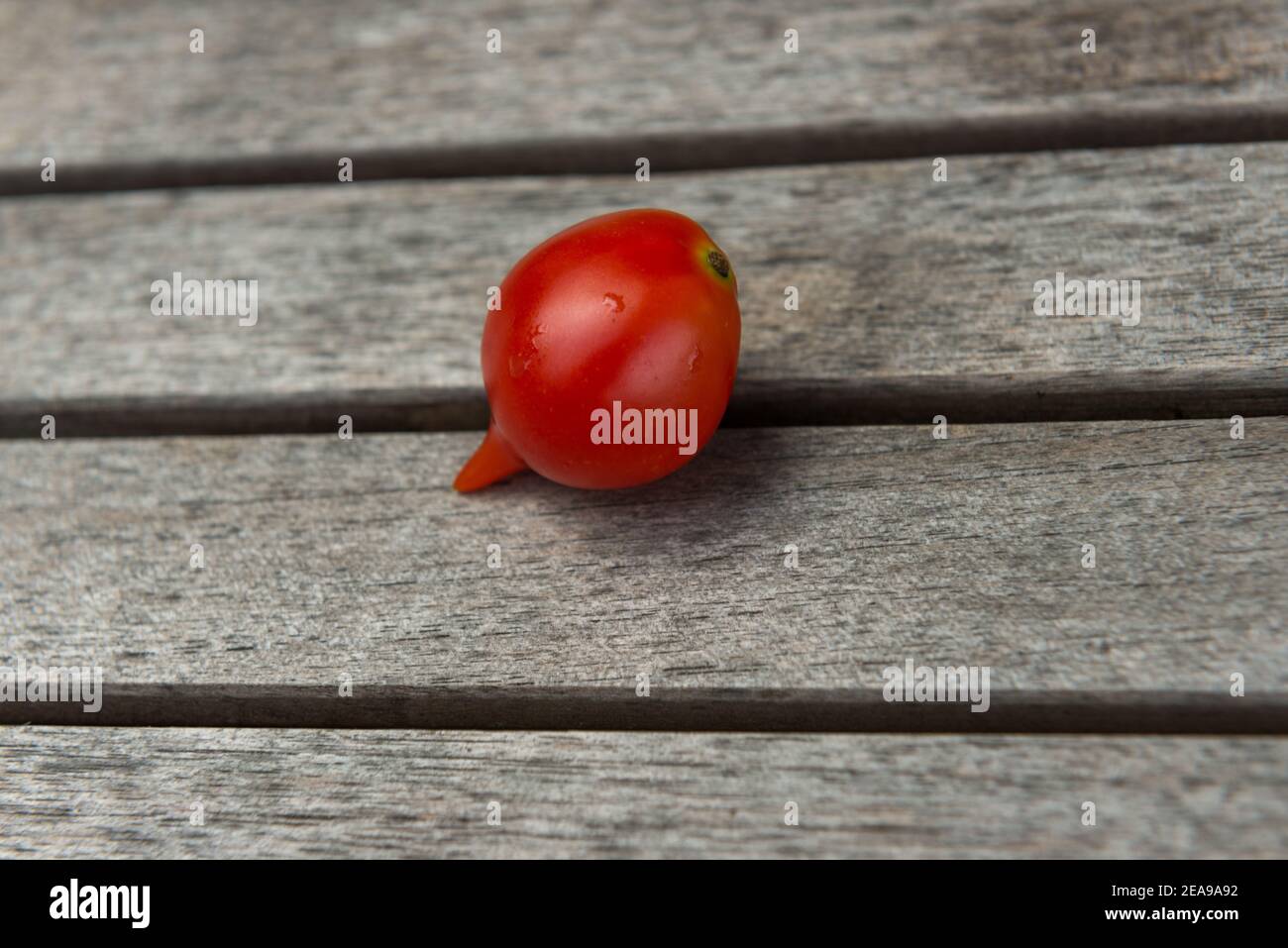 Garden tabletop hi-res stock photography and images - Alamy