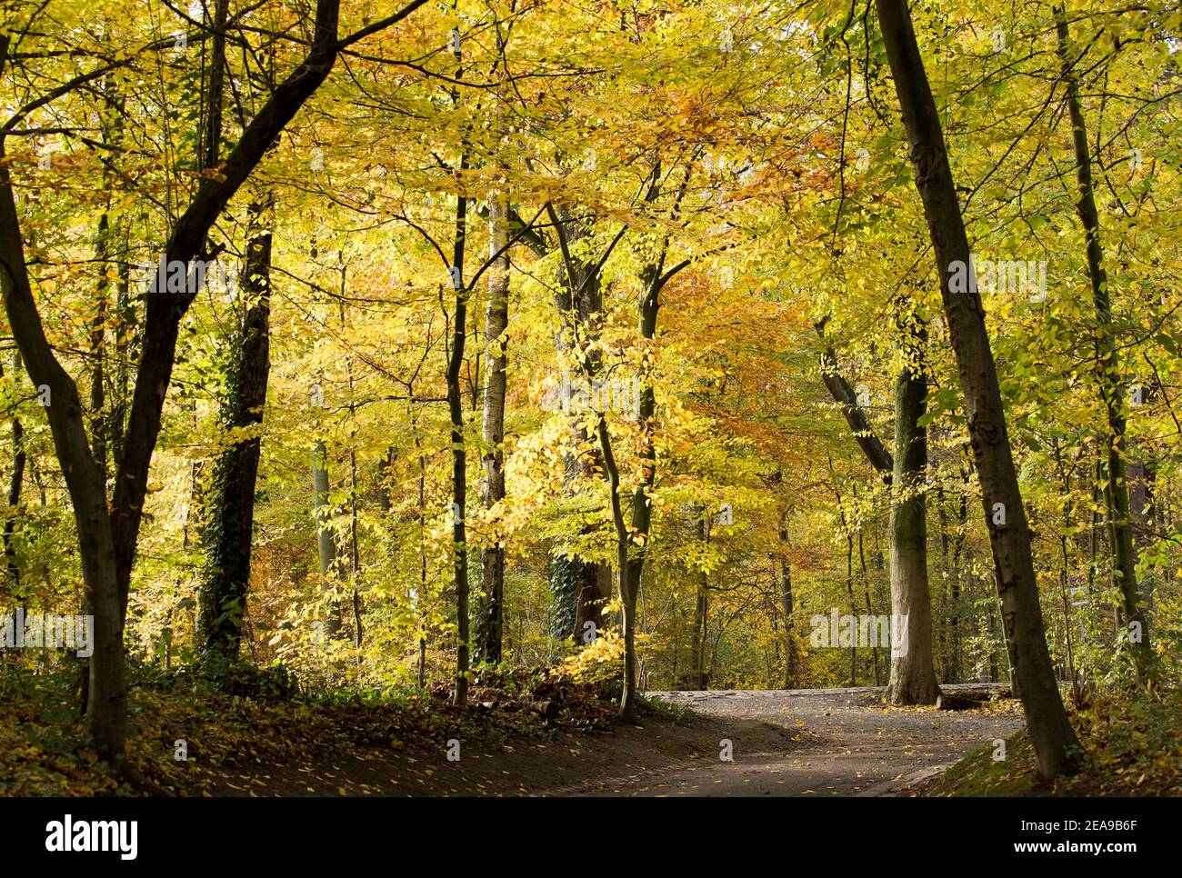 Grafenberger Wildpark, Duesseldorf Stock Photo - Alamy
