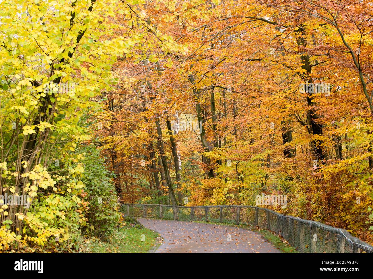 Grafenberger Wildpark, Duesseldorf Stock Photo - Alamy