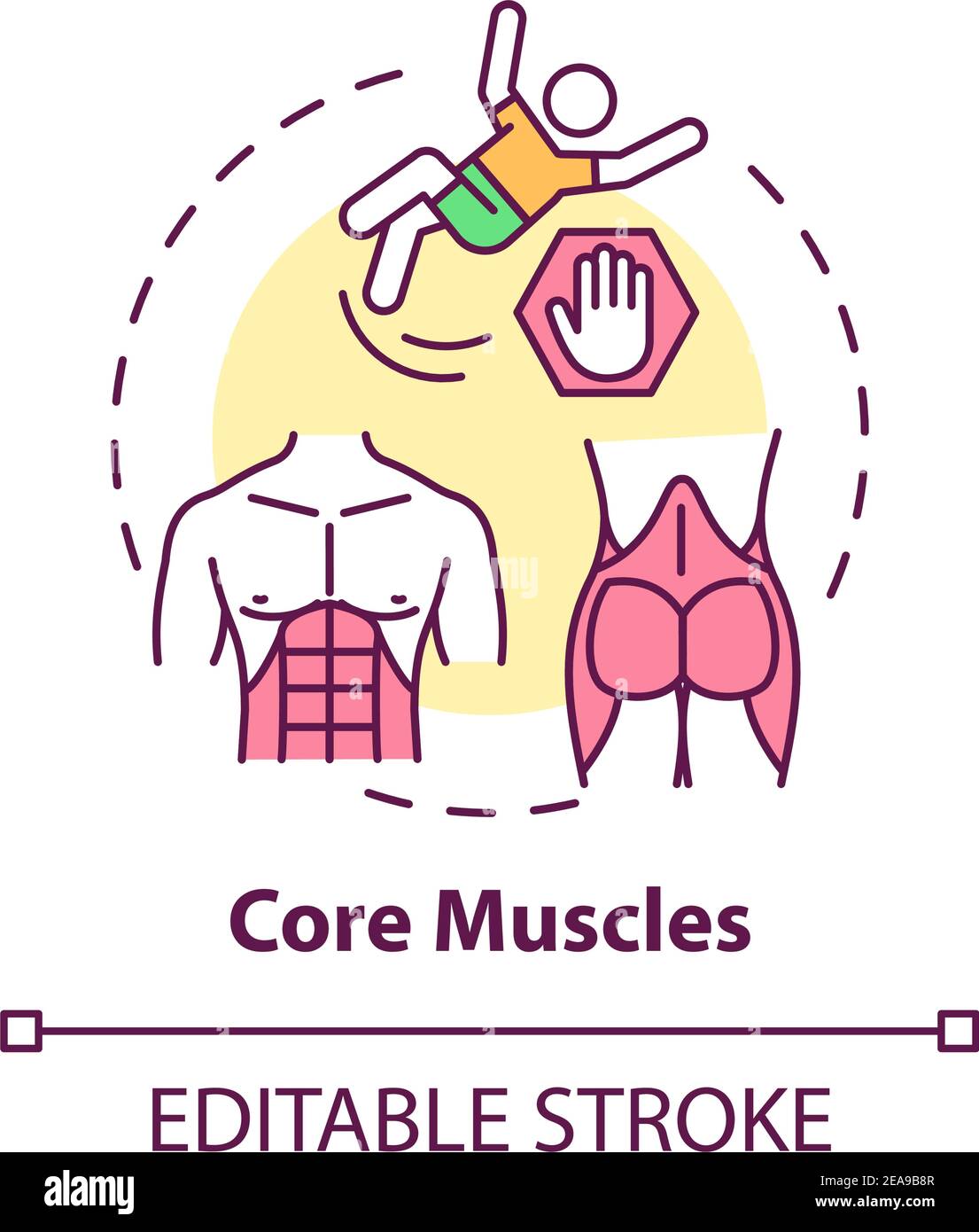 Core muscles anatomy hi-res stock photography and images - Alamy