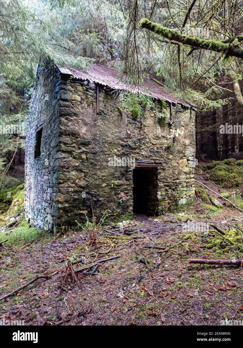 The beautiful landscape of Bonny Glen by Frosses in County Donegal ...