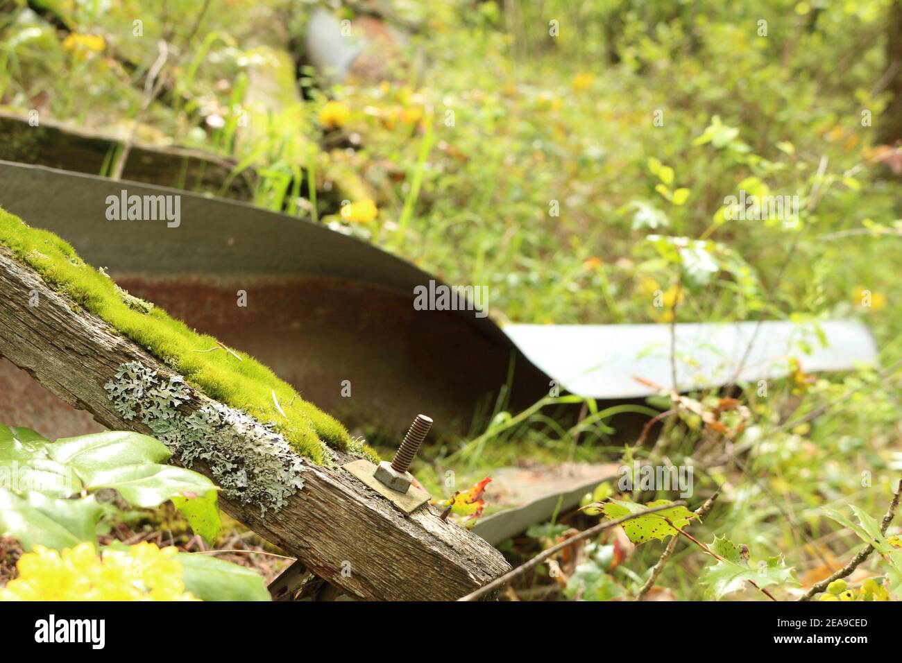 Old water trough hi-res stock photography and images - Alamy