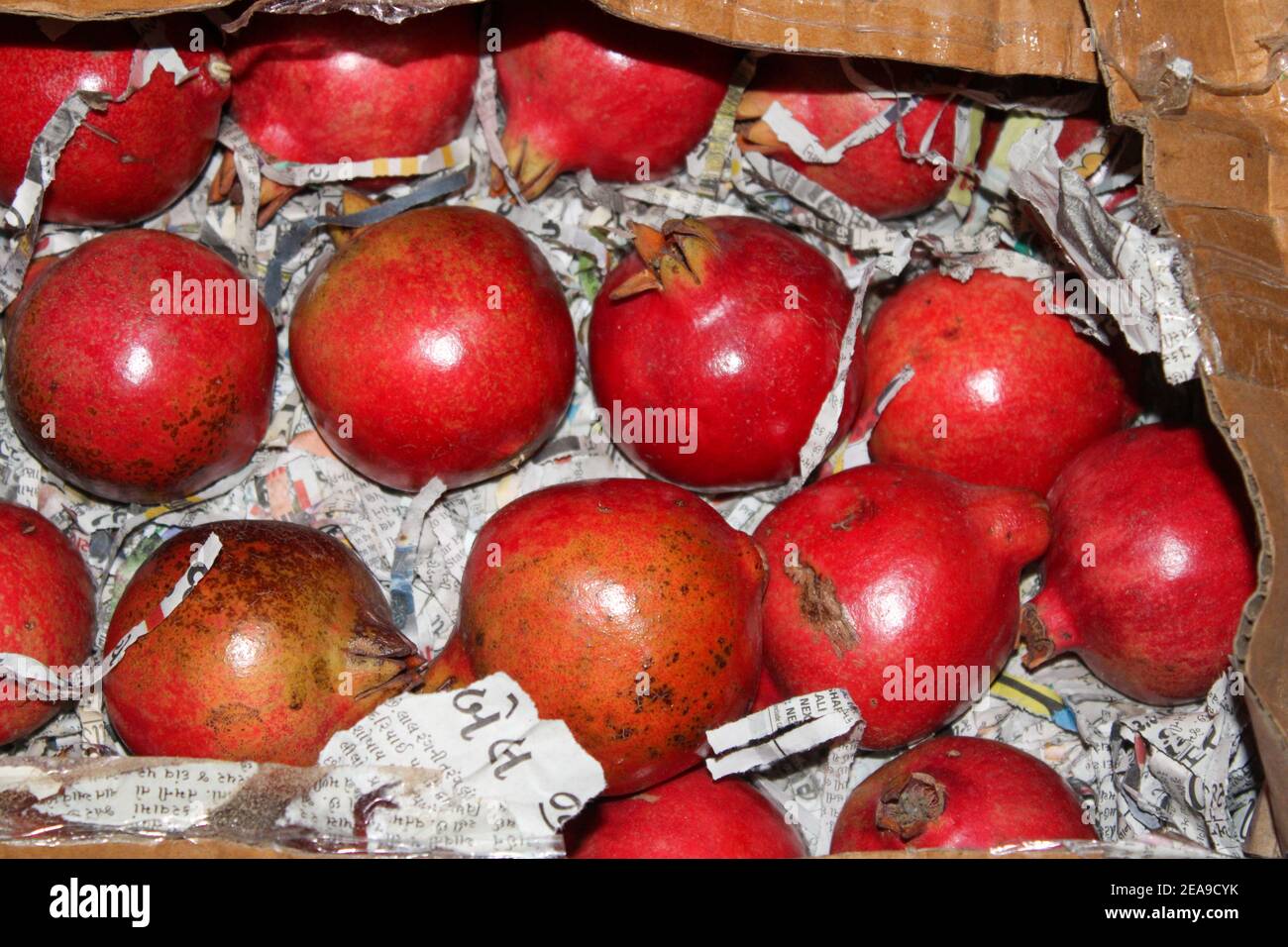Closeup shot of fresh pomegranates in a box Stock Photo - Alamy