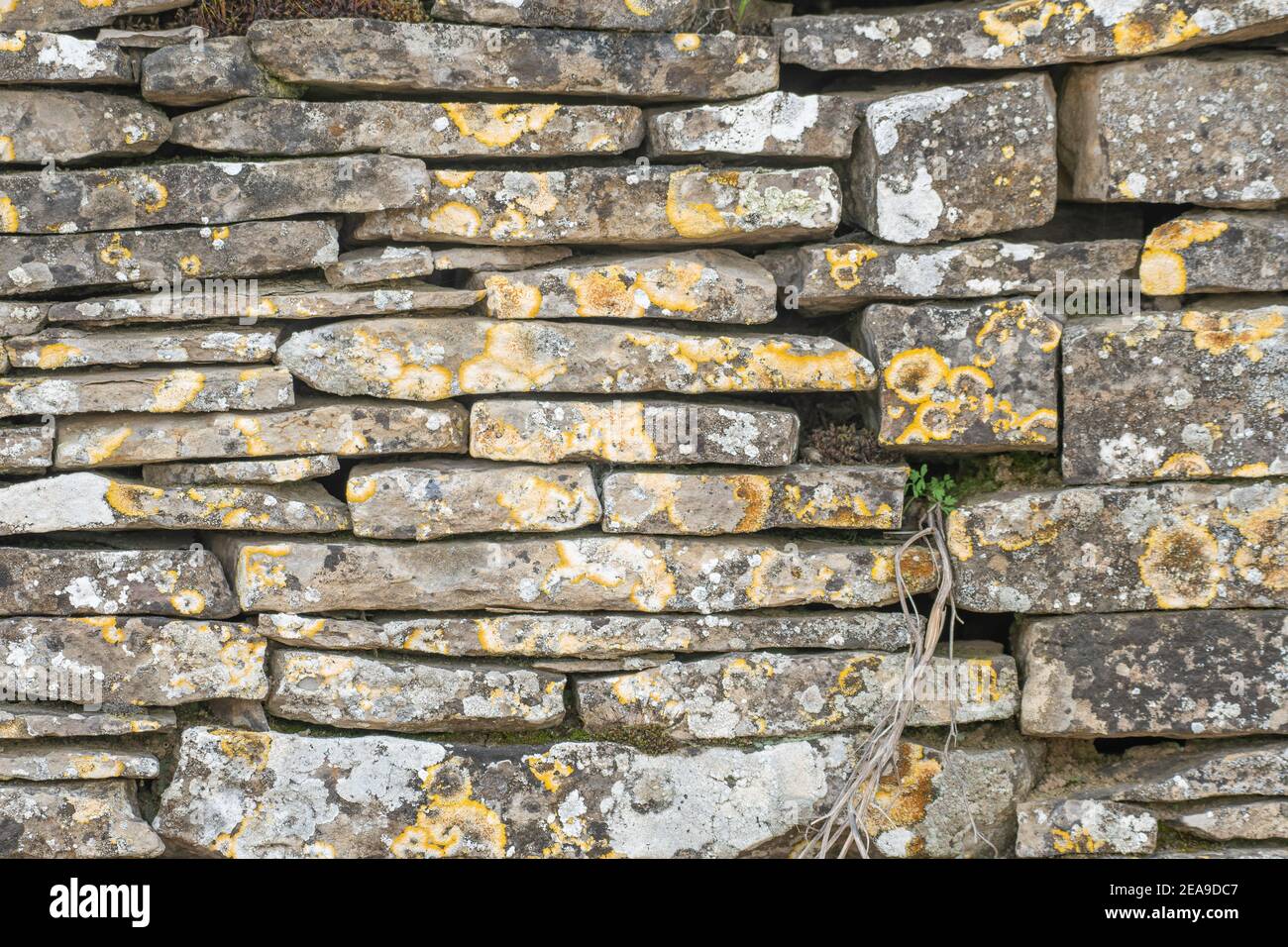 image of stone wall in rural environment Stock Photo - Alamy