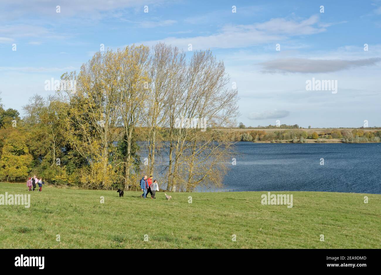 Family walking with dogs beside Rutland Water reservoir near Armley ...