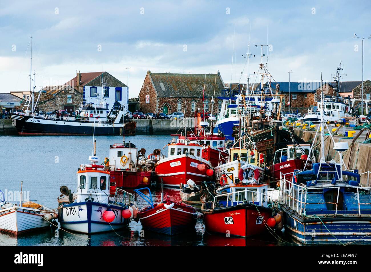 Fishing boats docked at the pier, Howth Fishery Harbour. Howth, County ...