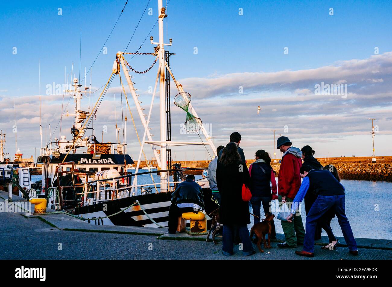 Fishing boats docked at the pier, Howth Fishery Harbour. Howth, County ...