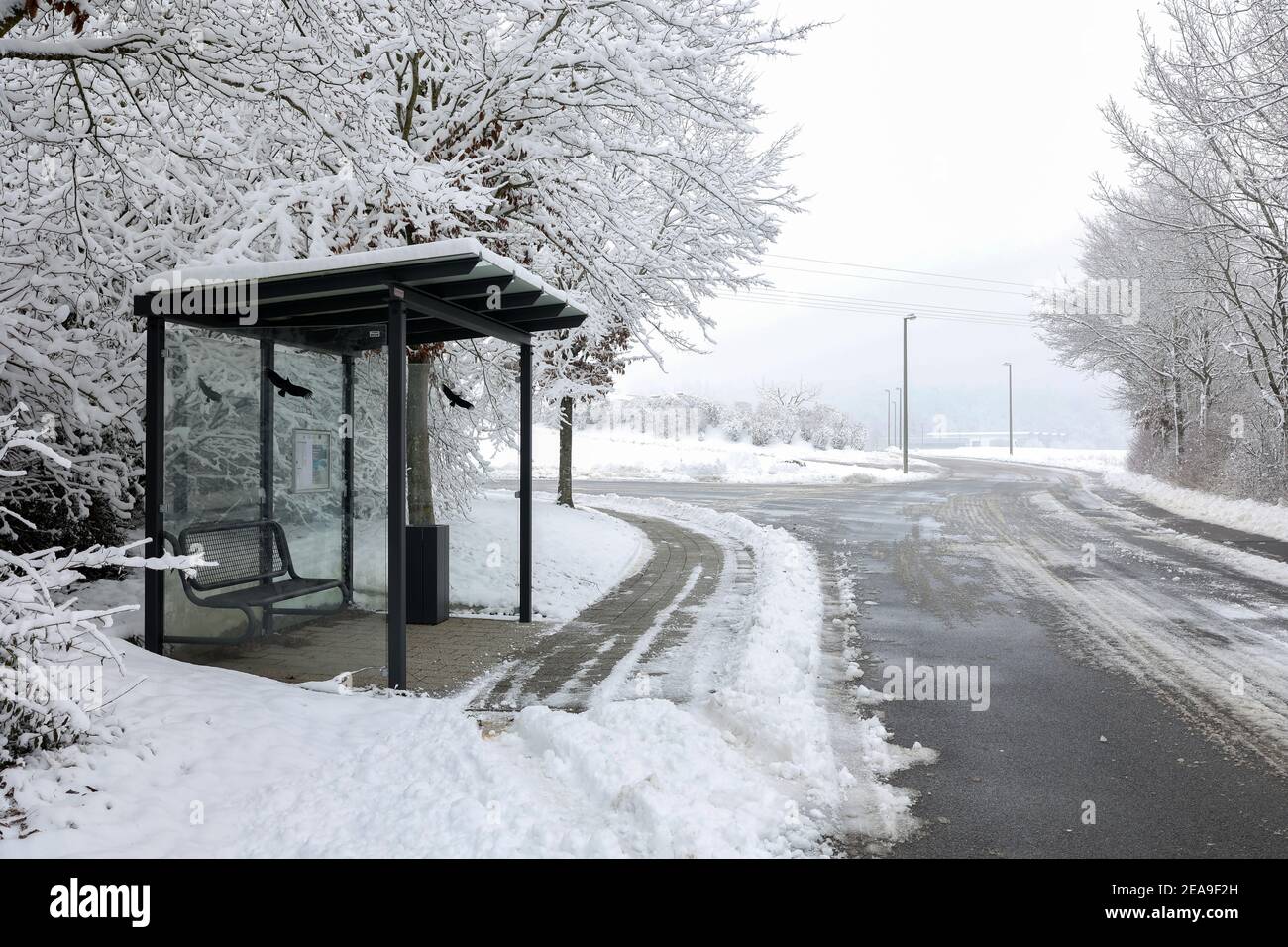 Stop road sign in snowy weather hi-res stock photography and images - Alamy