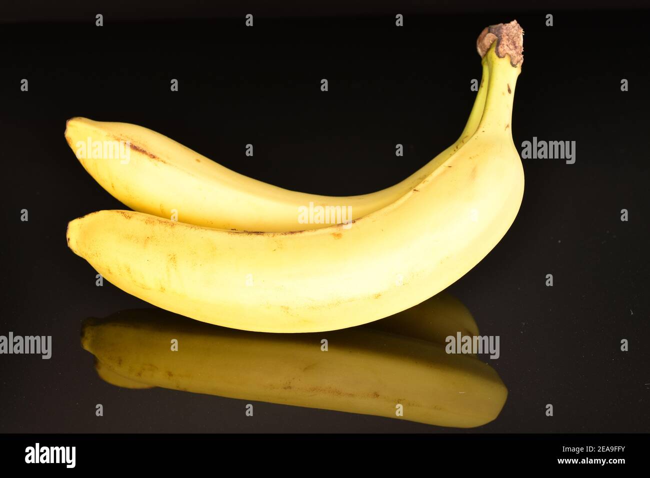 Two bright yellow ripe, sweet, nutritious, organic bananas, close-up ...
