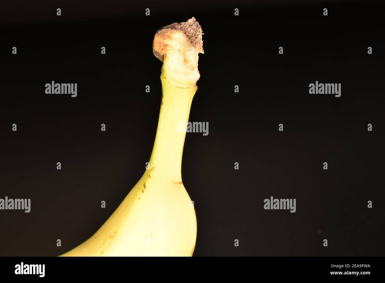 One half, bright yellow ripe, sweet, nutritious, organic banana, close ...