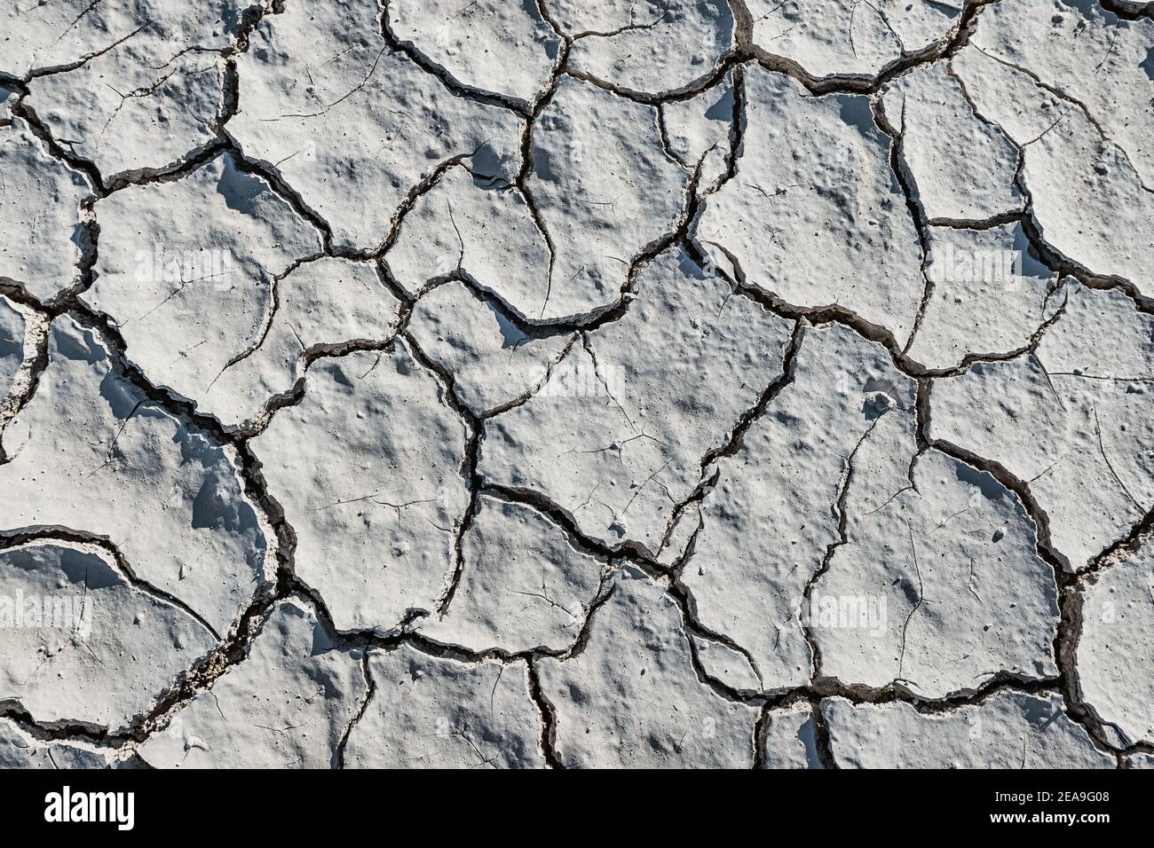 White soil cracked from the drought, top view. Background and texture ...