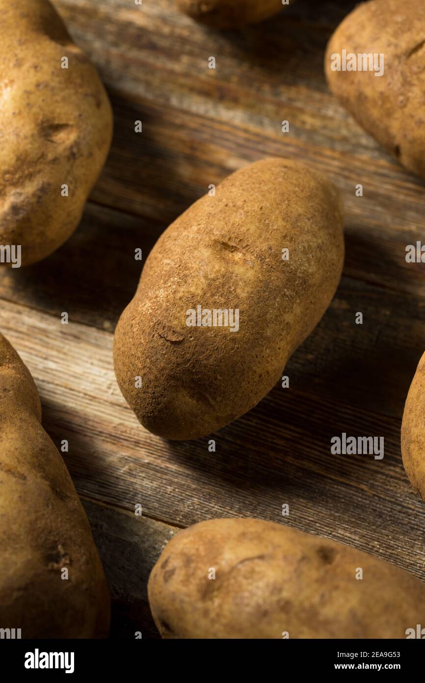 Raw Borwn Organic Russet Potatoes Ready to Cook Stock Photo - Alamy