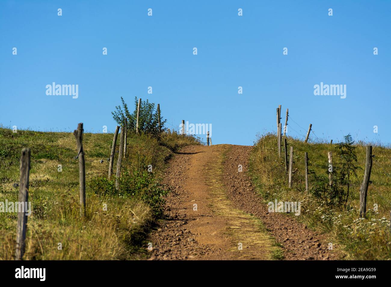 Path in an agricultural field in the countryside Stock Photo - Alamy