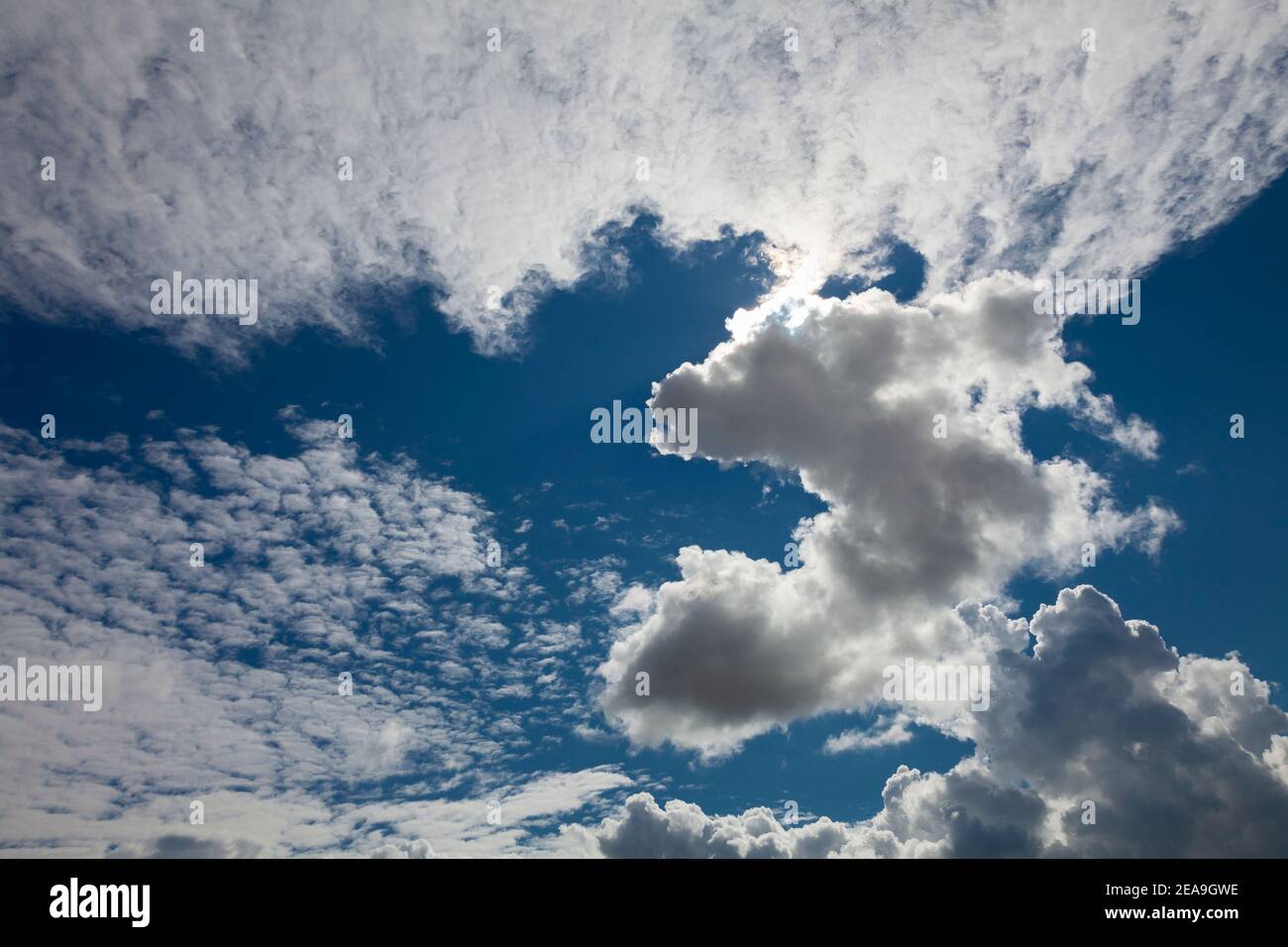 White clouds lit by the sun on the blue sky Stock Photo - Alamy