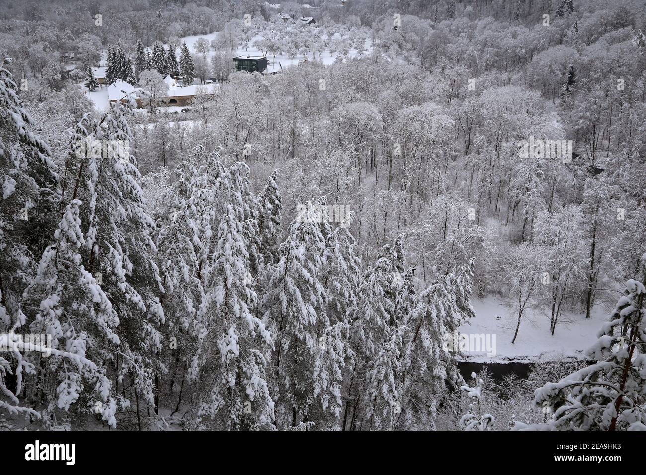 Winter in Lithuania Stock Photo - Alamy