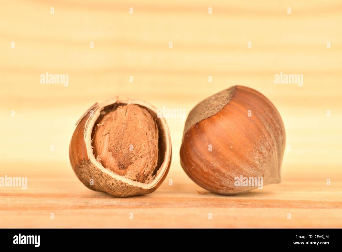 One whole, one chopped natural ripe hazelnut, close-up, on a background ...