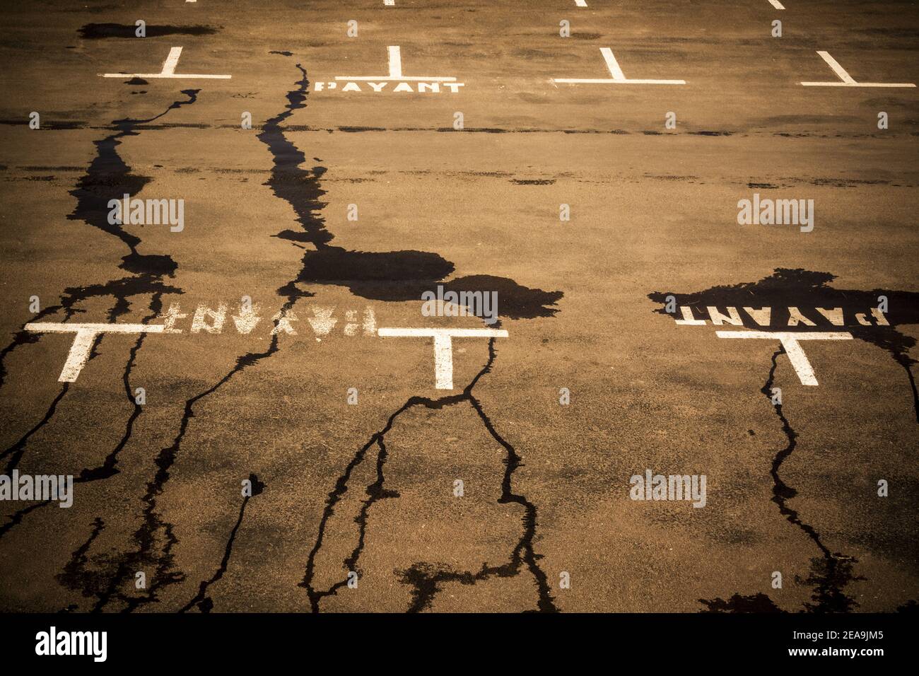 Parking signs on the asphalt Stock Photo - Alamy