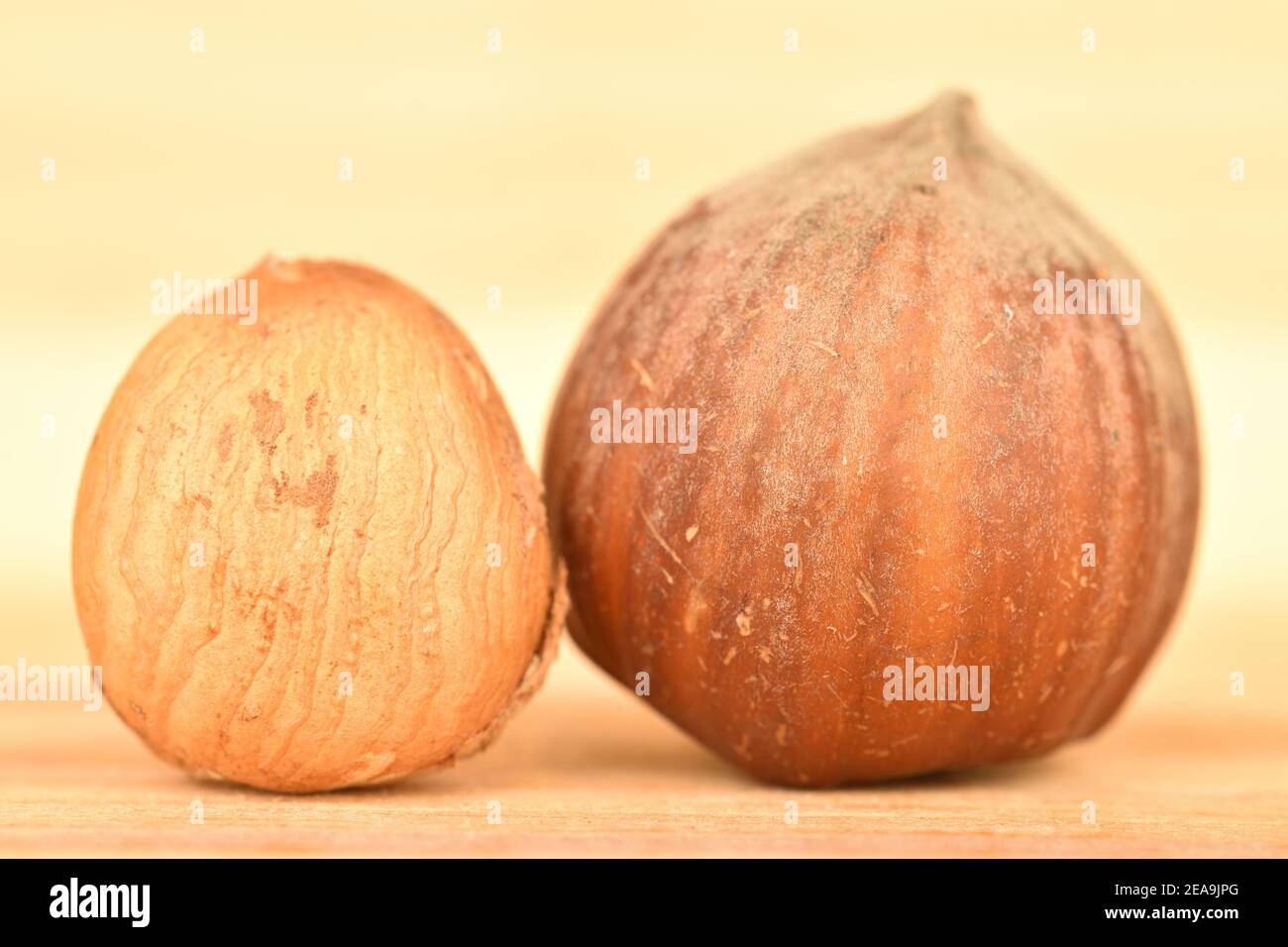 One chopped and one peeled natural ripe hazelnuts, macro, on a ...