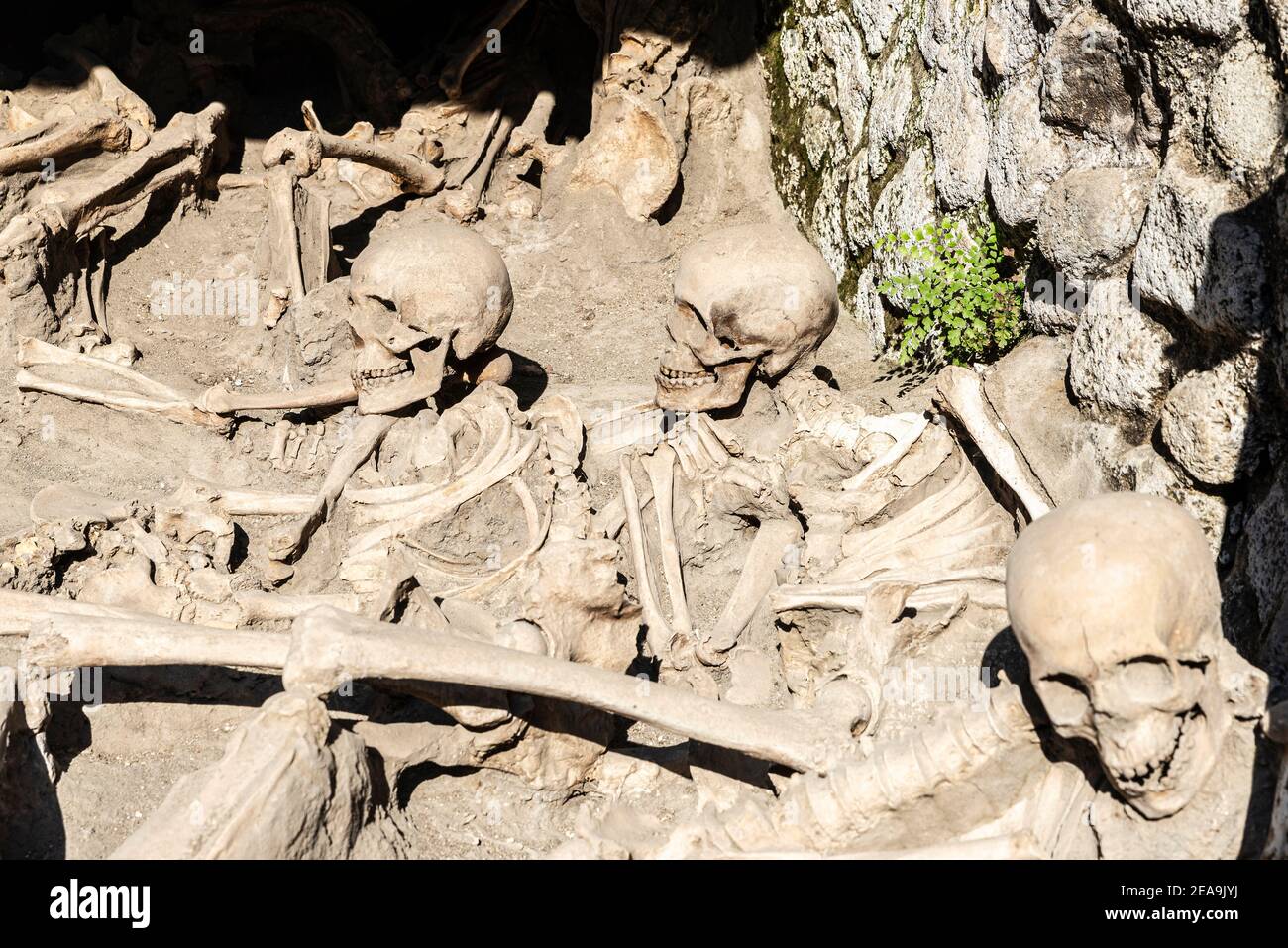 Roman archeology bones hi-res stock photography and images - Alamy