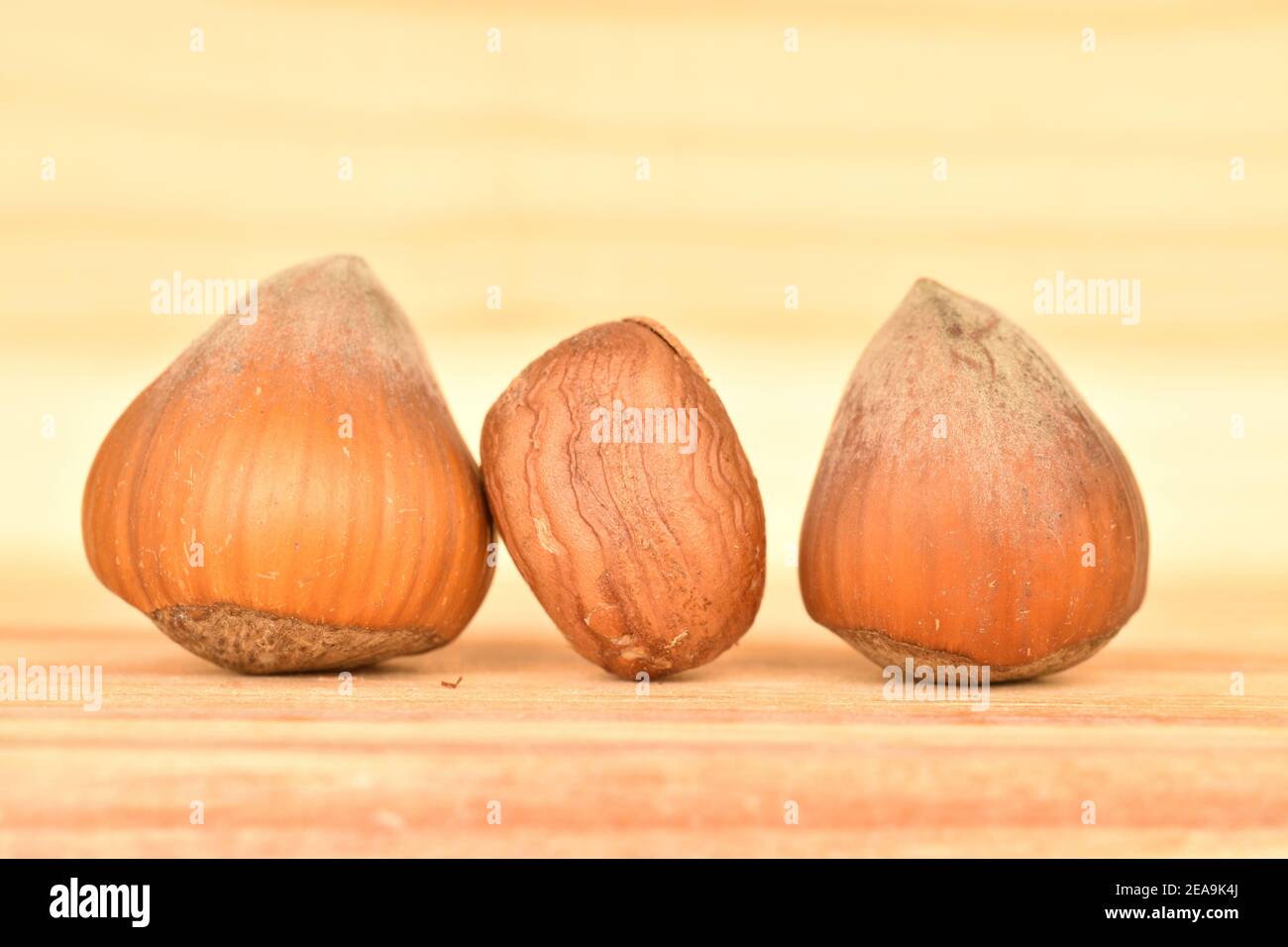 Two whole and one peeled natural ripe hazelnuts, macro, on a background ...