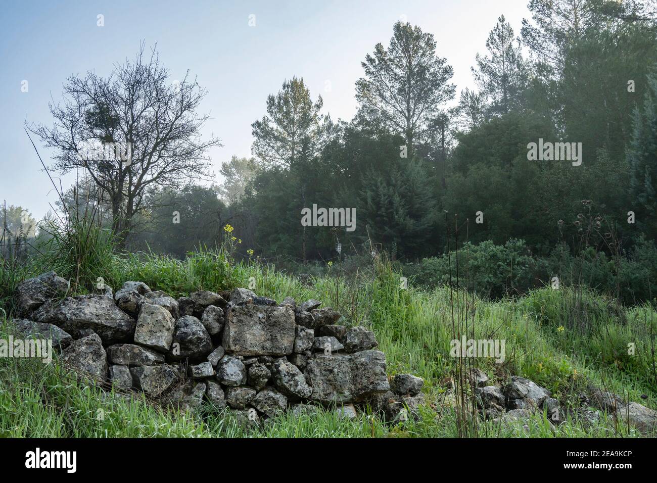Jerusalem terrace hi-res stock photography and images - Alamy